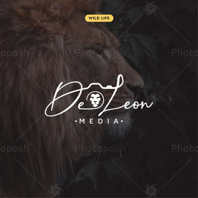 Creative Photography Logo [10 Examples for inspiration]